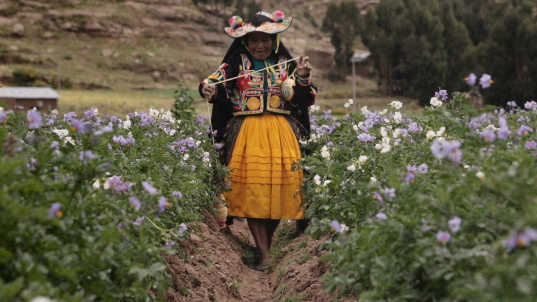 National Indigenous Peoples Month | imagineNATIVE Film + Media Arts ...