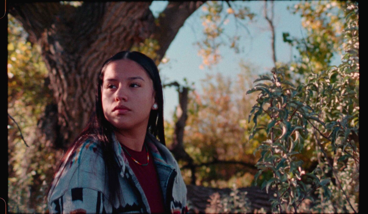 Itseetamapi | imagineNATIVE Film + Media Arts Festival